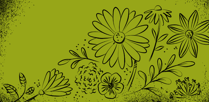 Learn How to Draw Tutorials - APKZ