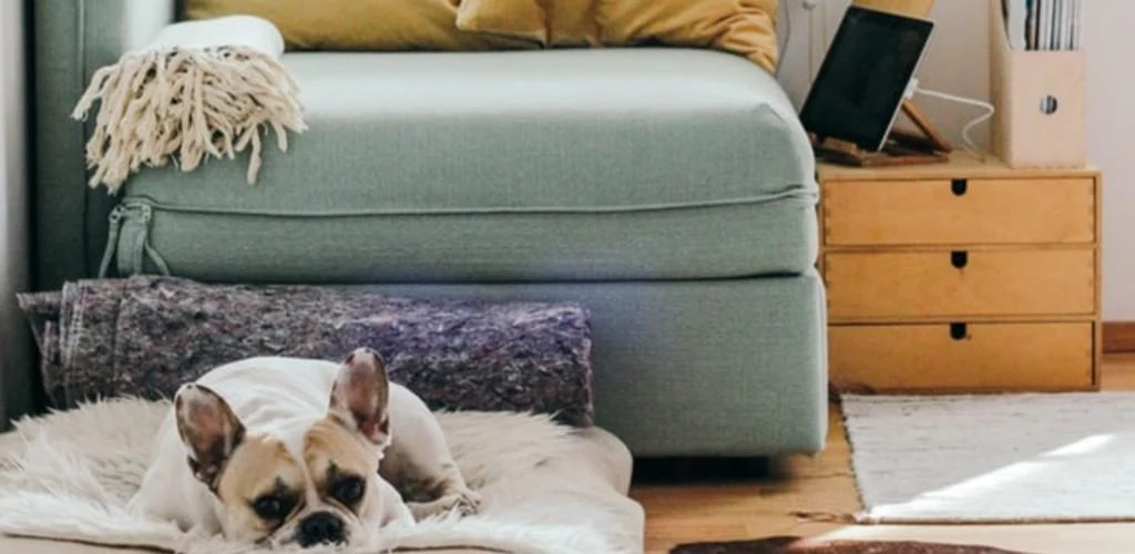 Monarch Resident Portal - APKZ