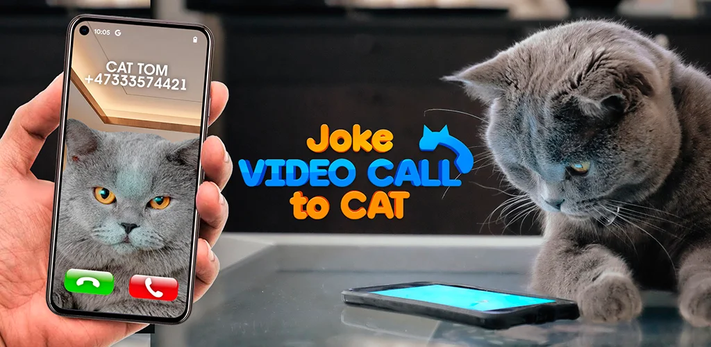 Joke Video Call to Cat - APKZ